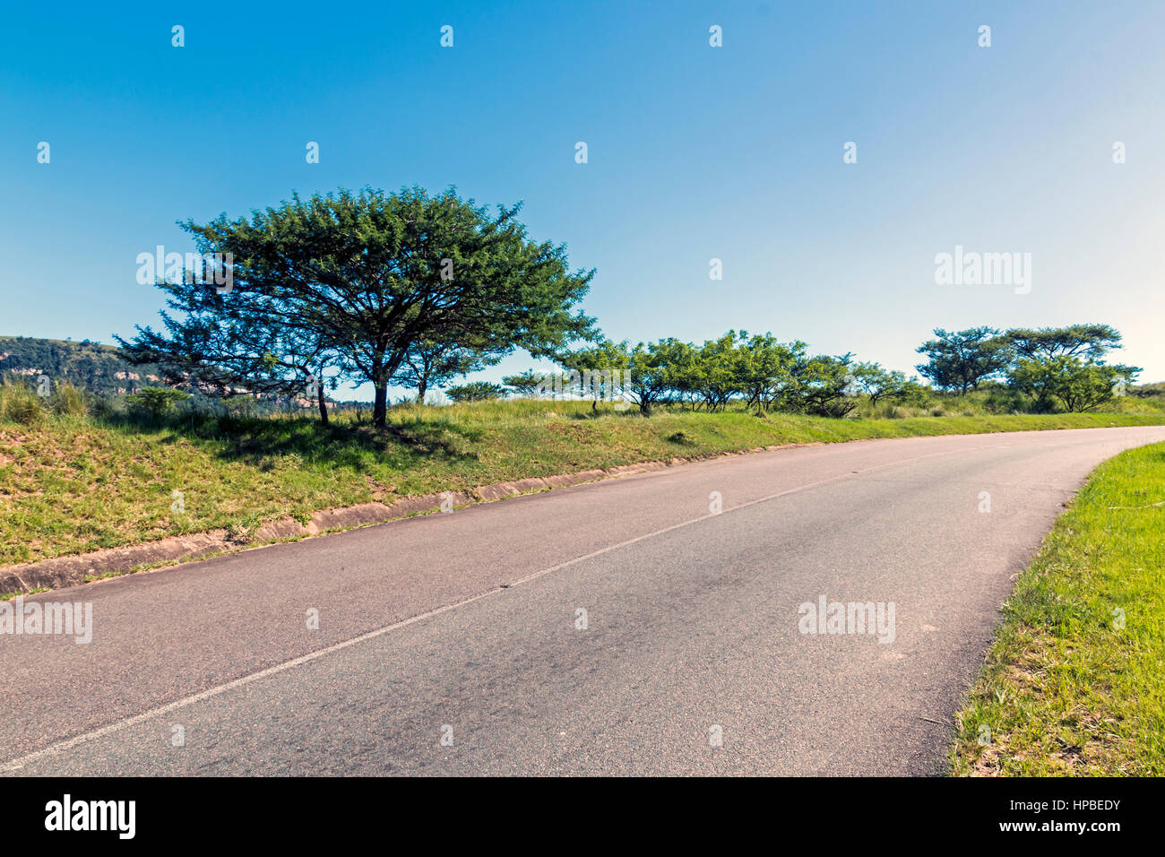 Rural asphalt road curving through green vegetation rural landscape at ...