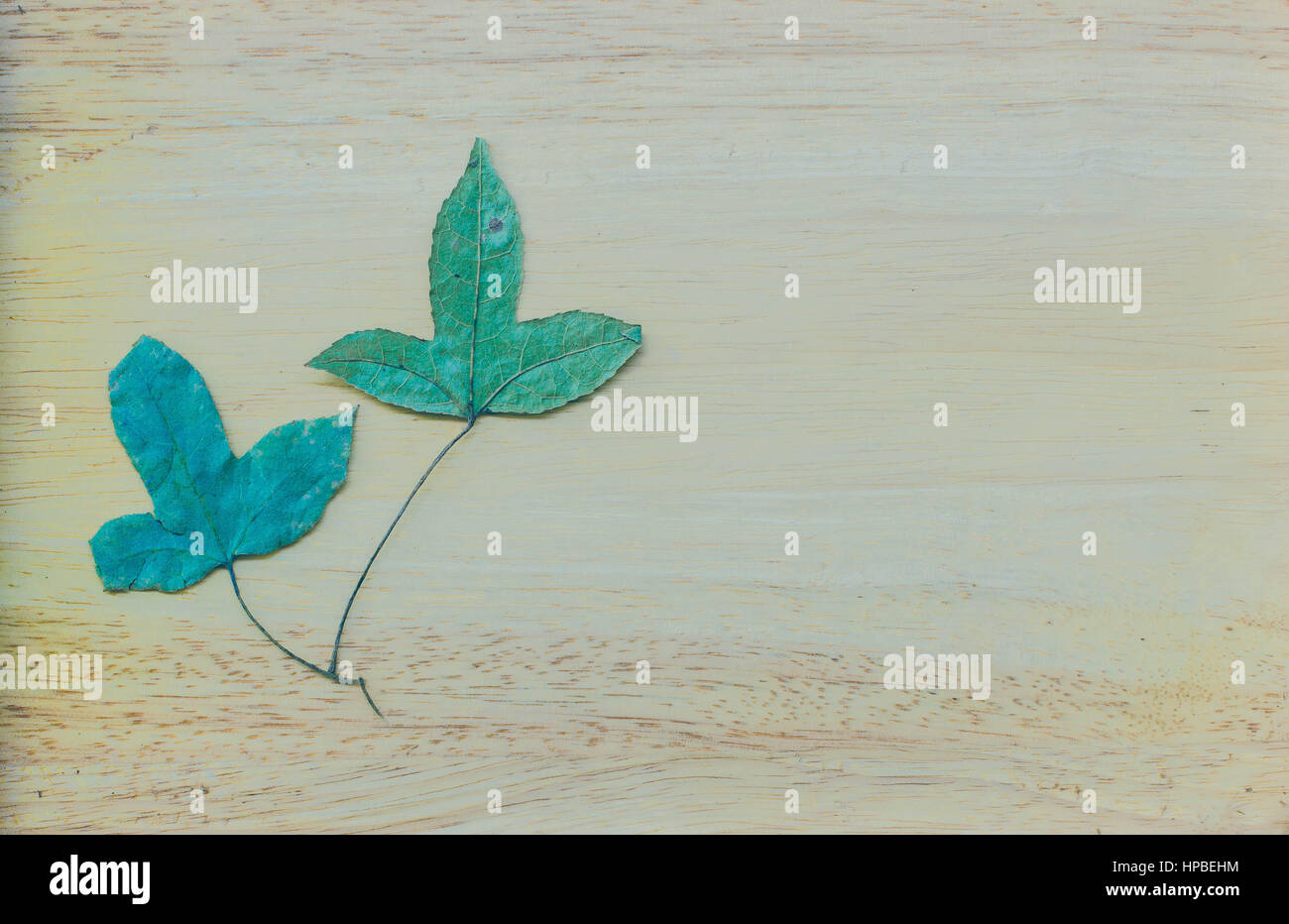 meple leaves on wood background Stock Photo - Alamy