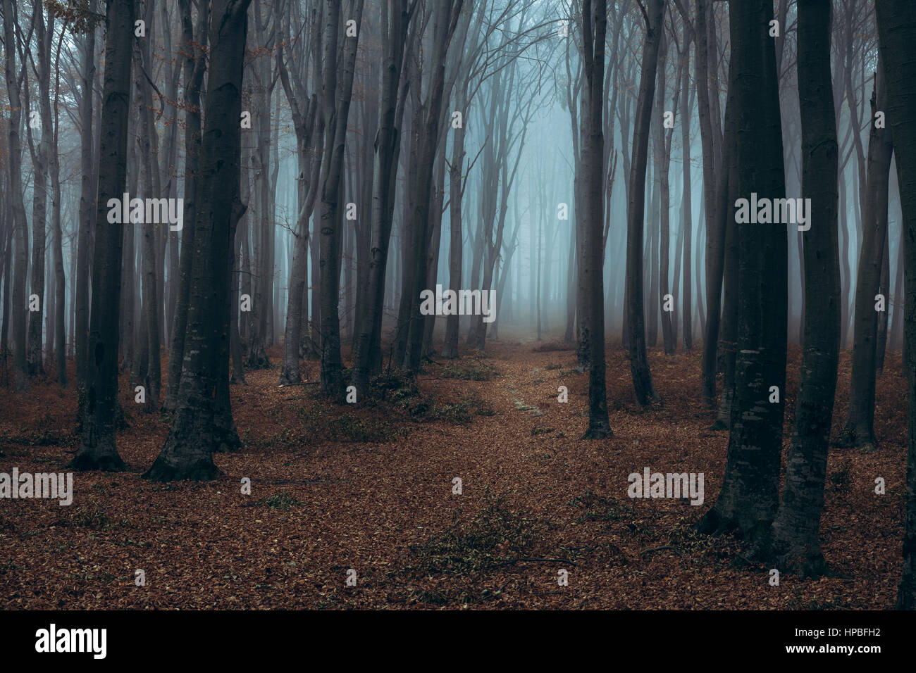 Creepy look hi-res stock photography and images - Alamy