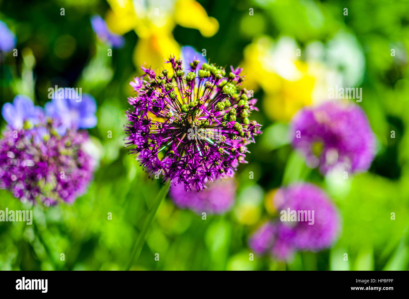 Deep focus hi-res stock photography and images - Alamy