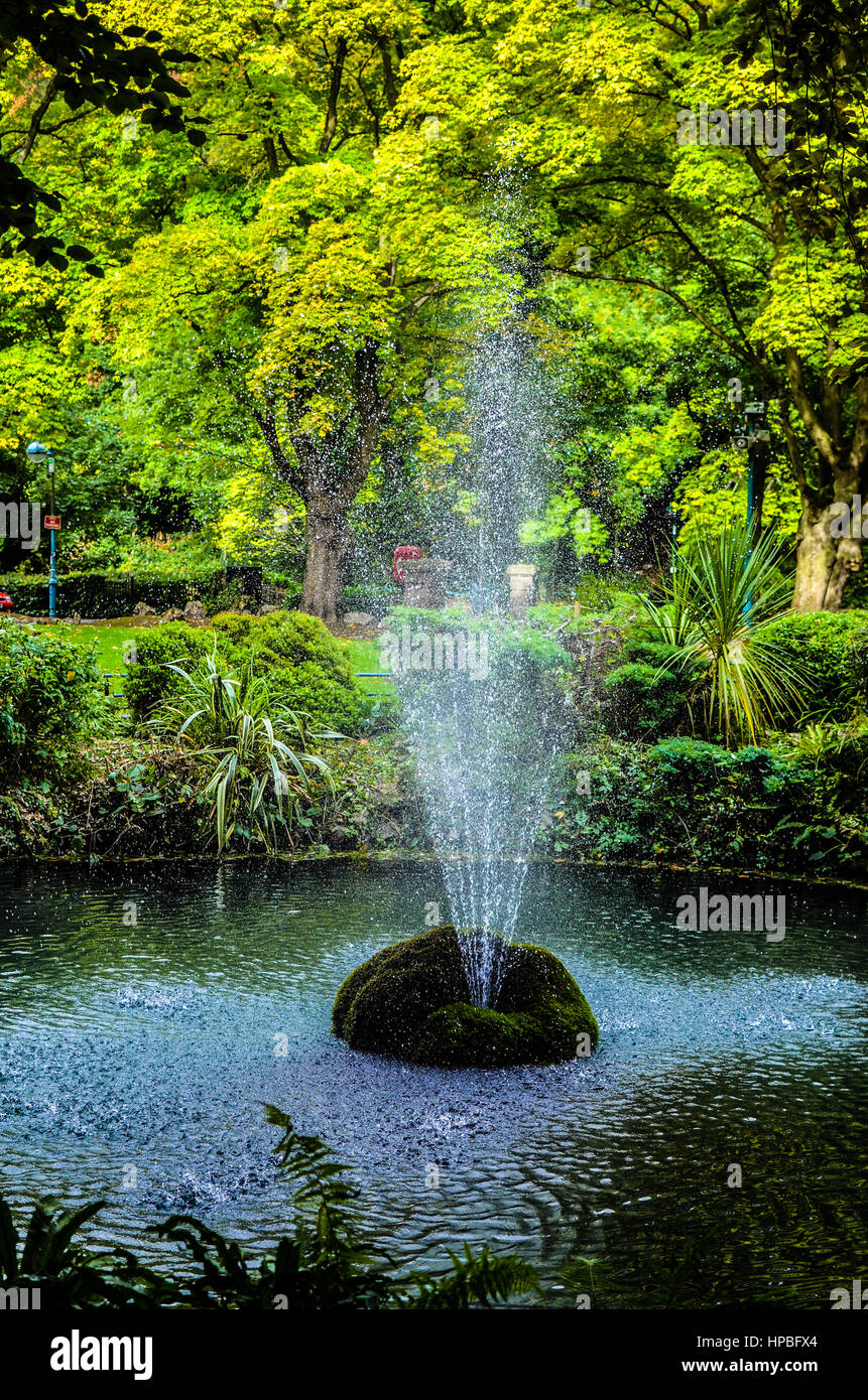 Short shutter speed hi-res stock photography and images - Alamy
