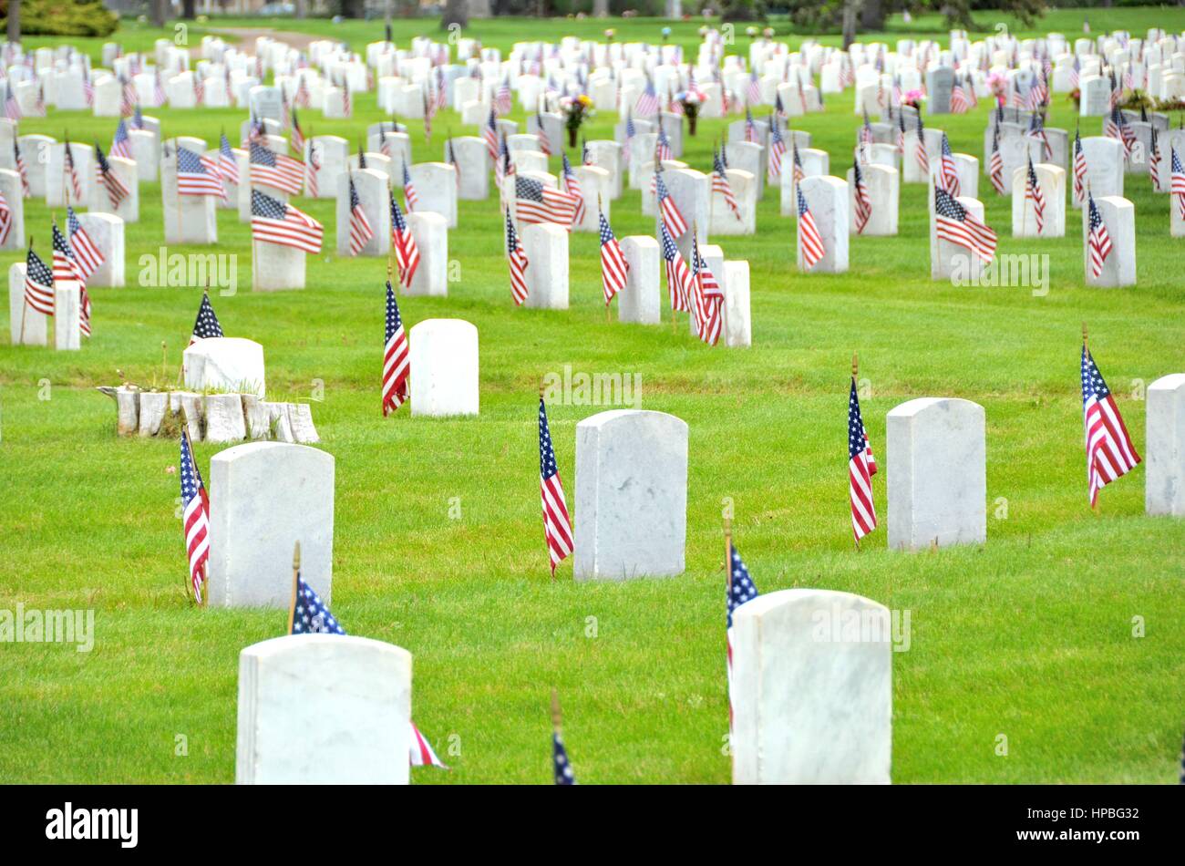 American Flags on Veteran's Day and Memorial Day Stock Photo - Alamy