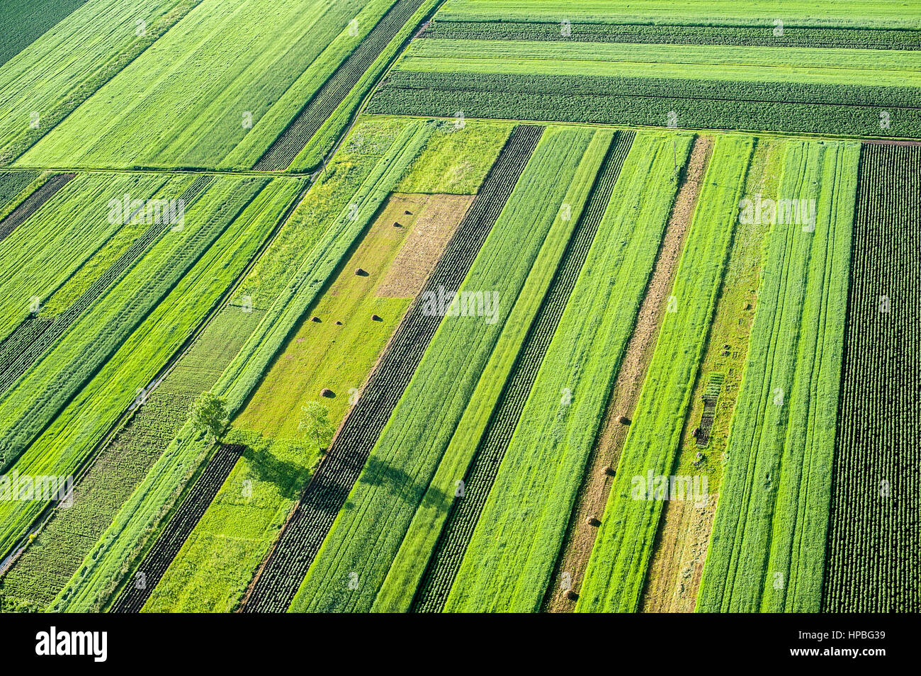 Bird’s Eye View of the Fields and Agricultural Parcel Stock Photo - Alamy