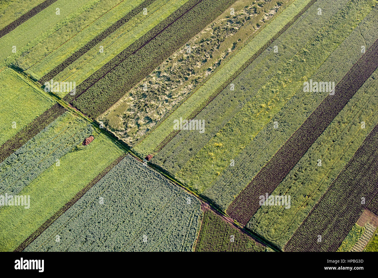Birds Eye View Fields Agricultural High Resolution Stock Photography ...