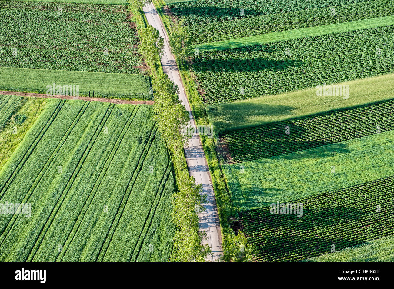 Grass Field Birds Eye View High Resolution Stock Photography and Images ...
