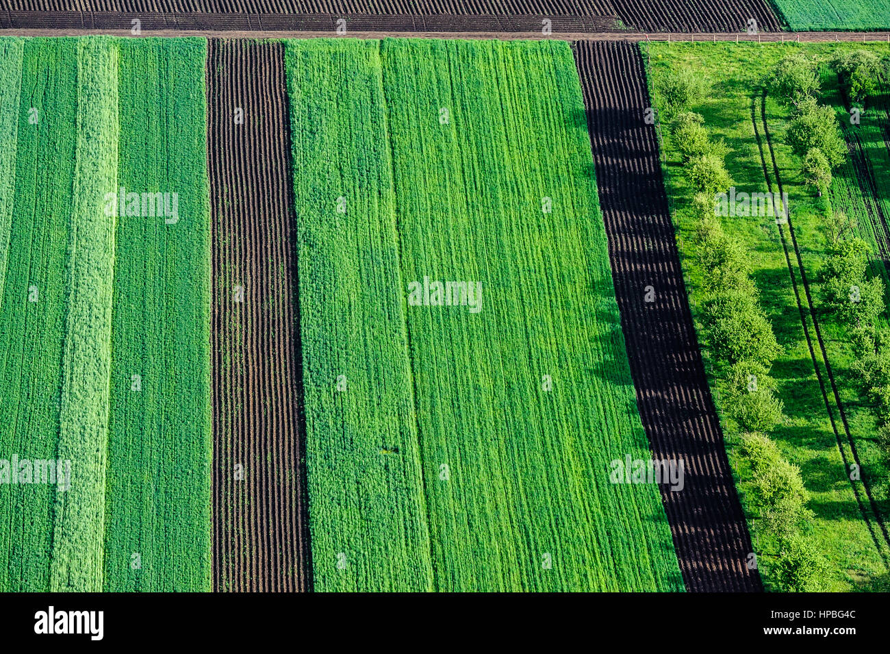 Bird’s Eye View of the Fields and Agricultural Parcel Stock Photo - Alamy