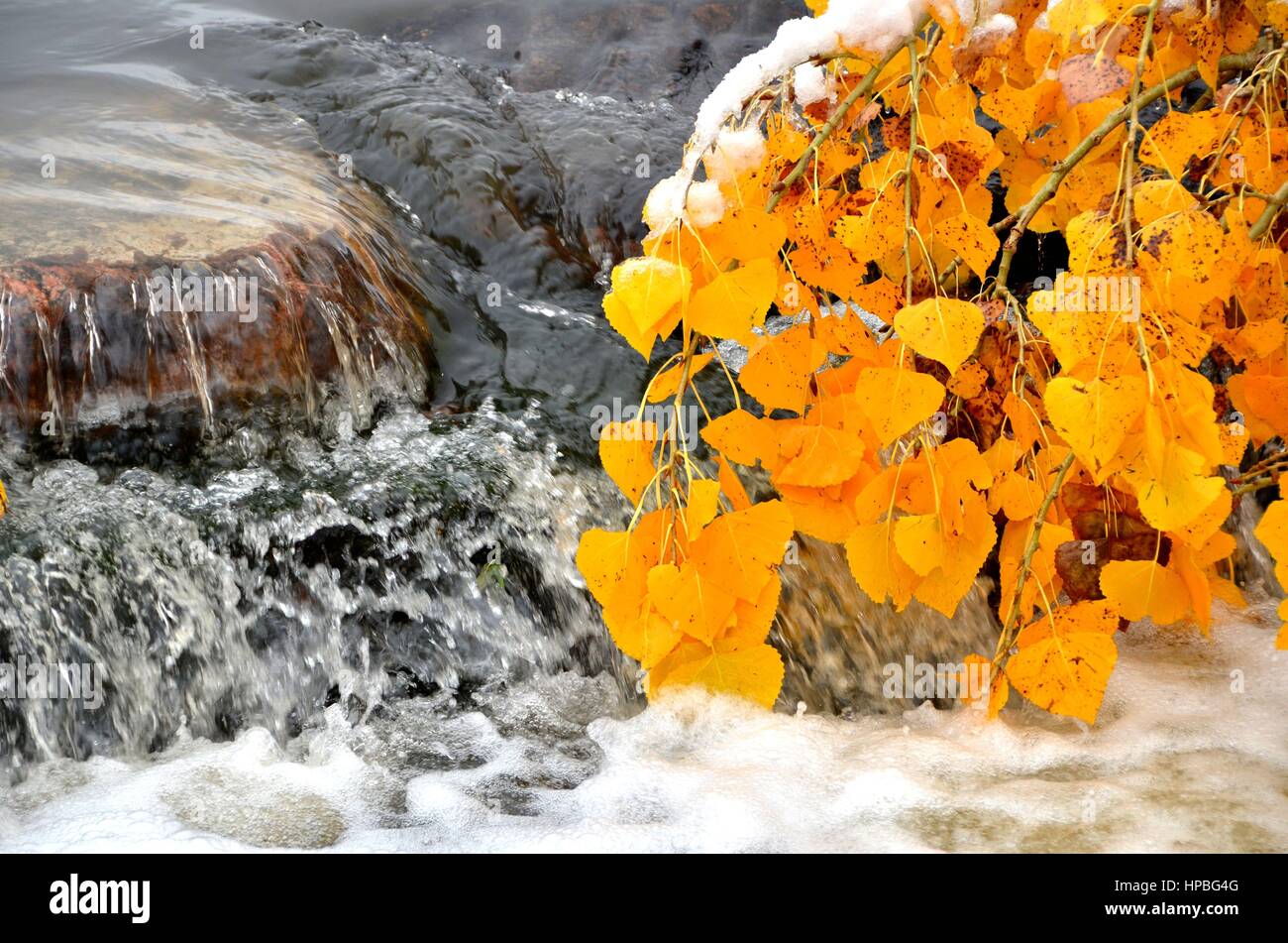 Waterfall with Fall Leaves Stock Photo - Alamy