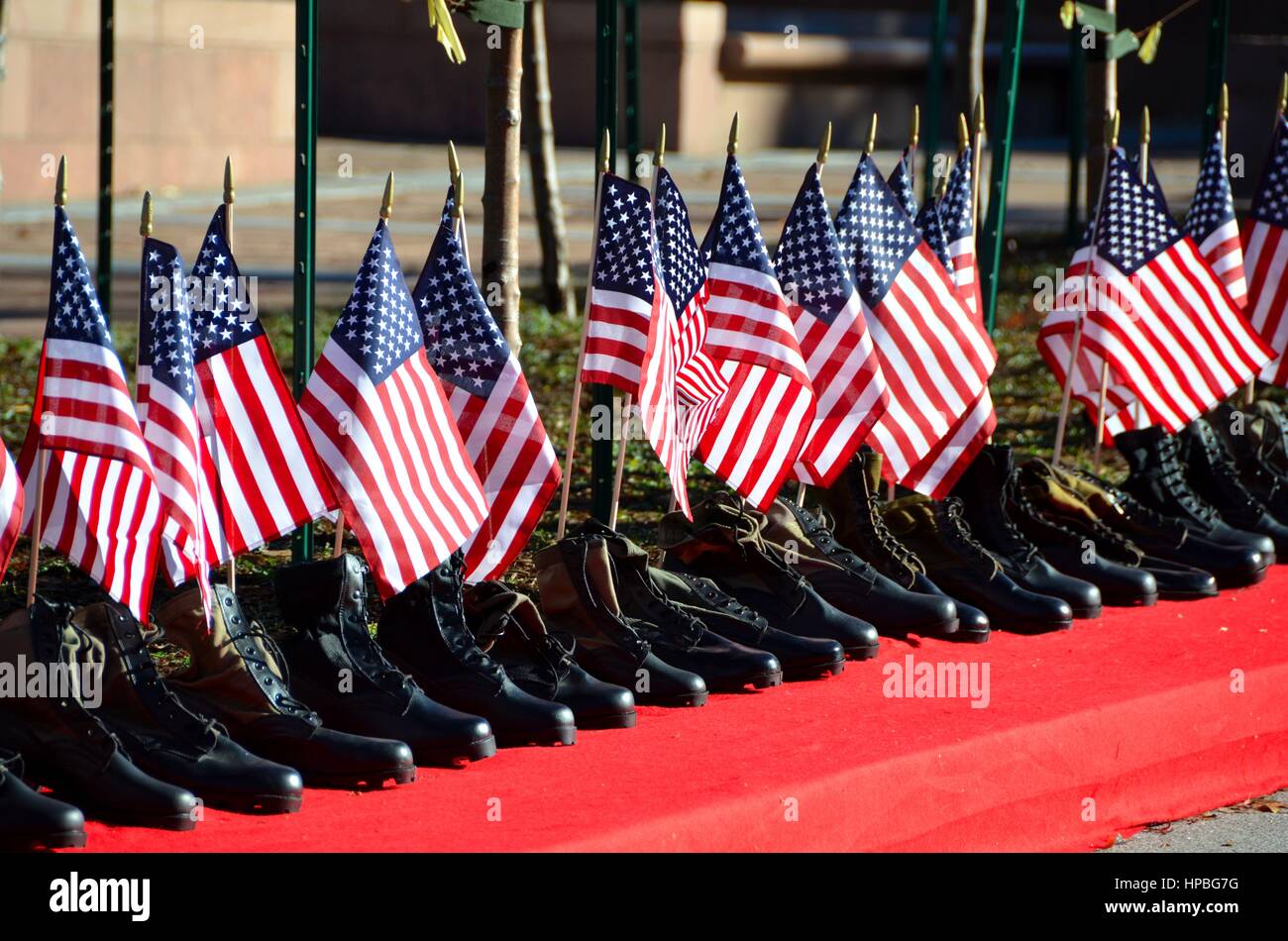 American Flags on Veterans Day and Memorial Day Stock Photo - Alamy