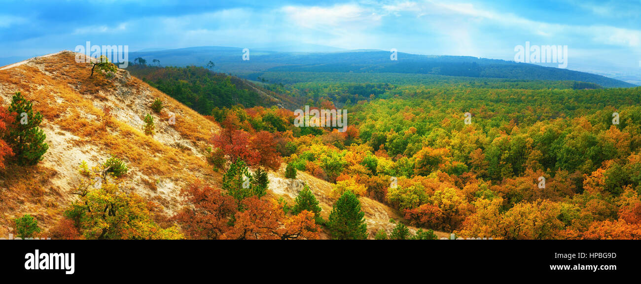 Panoramic view colorful tree hi-res stock photography and images - Alamy
