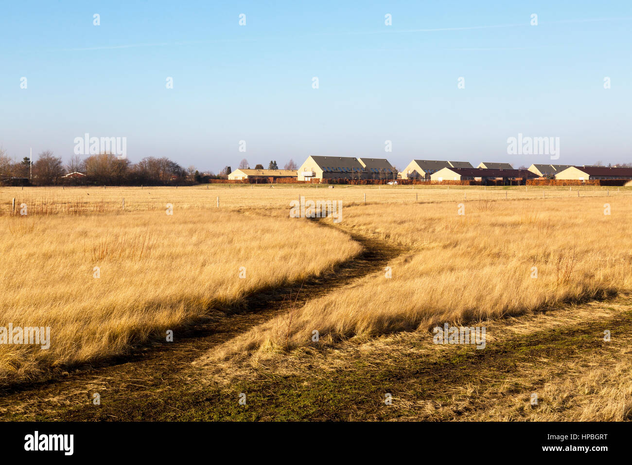 Fields in Denmark Stock Photo - Alamy