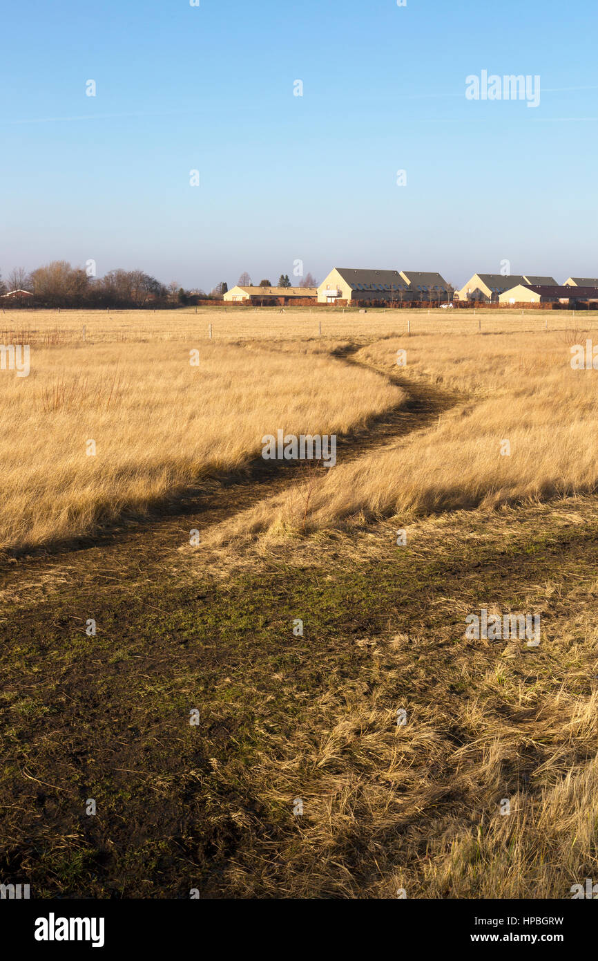 Fields in Denmark Stock Photo - Alamy