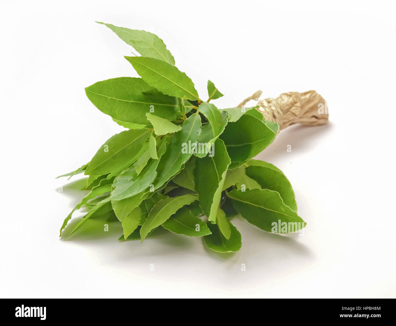 Laurel leaves hi-res stock photography and images - Alamy