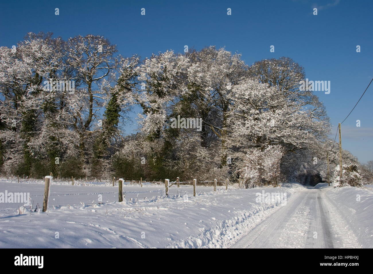 Pictures for calenders hi-res stock photography and images - Alamy