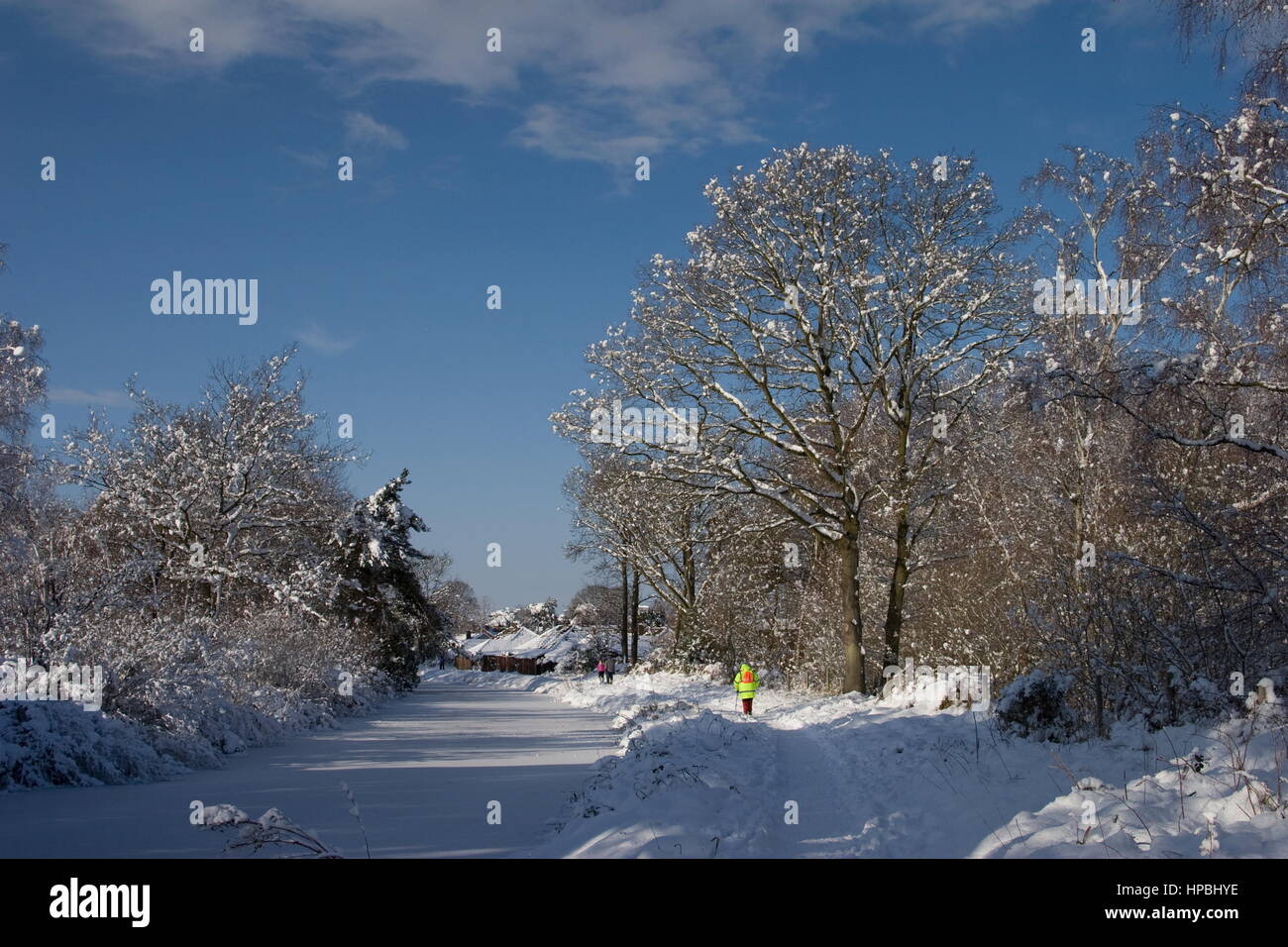 Basingstoke Canal frozen and in snow Fleet,Hampshire Stock Photo - Alamy