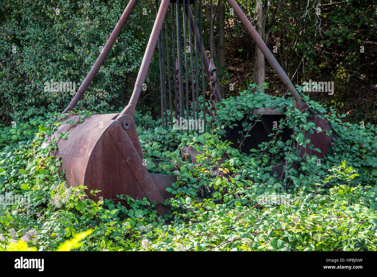 Old rusty scoop, overgrown Stock Photo - Alamy