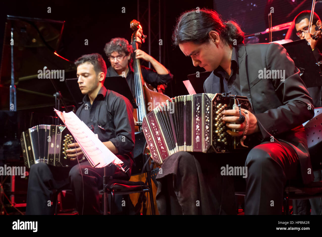 Young man playing the bandoneon in milonga, party where you only dance ...
