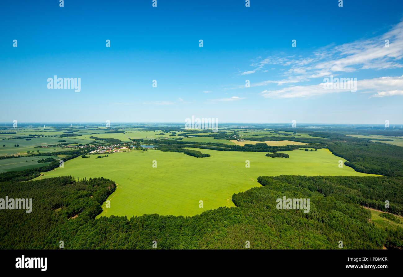 Kosierzewo, fields, grain fields, forest, forest areas, Hinterpommern ...