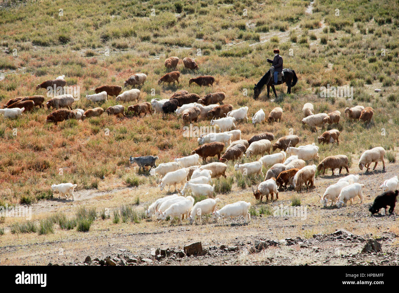 Koktokay High Resolution Stock Photography and Images - Alamy