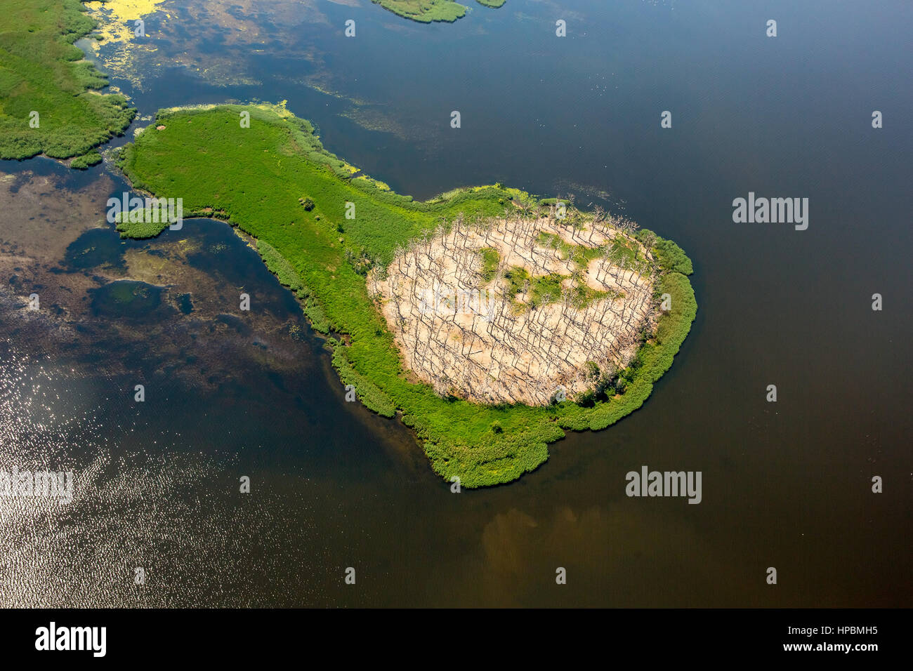 Gardzka peninsula Kępa, Połchowo, Dusin, East coast, Województwo ...