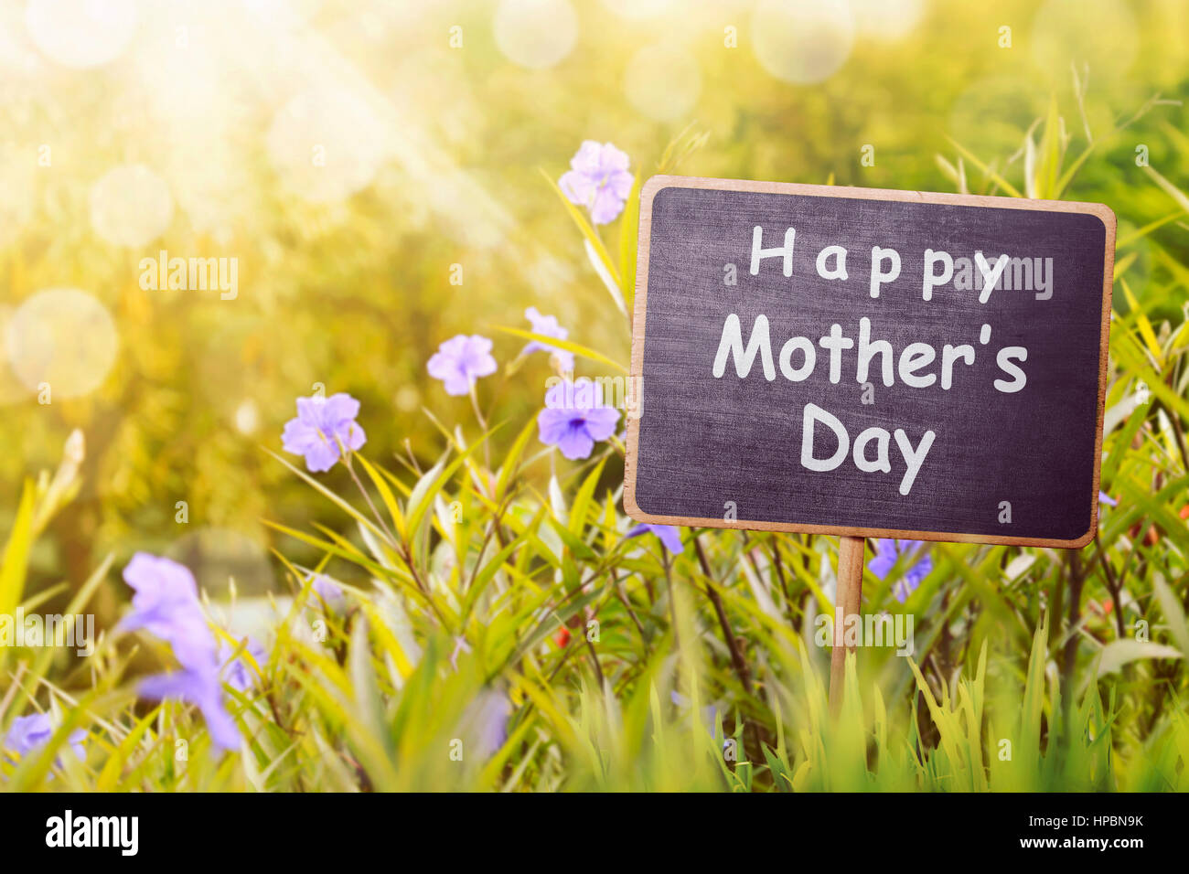 Happy Mother's day greeting on wooden sign in garden Stock Photo - Alamy