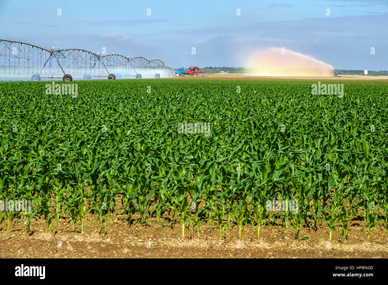 Florida Homestead,Redland,field,irrigation system,watering,corn,crop ...