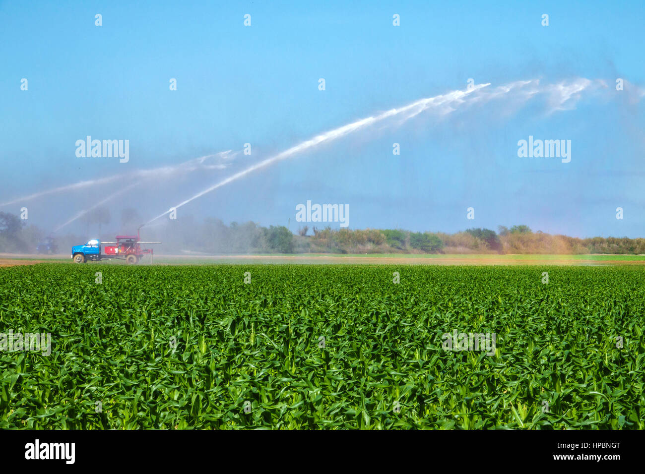 Florida Homestead,Redland,field,irrigation system,watering,corn,crop ...