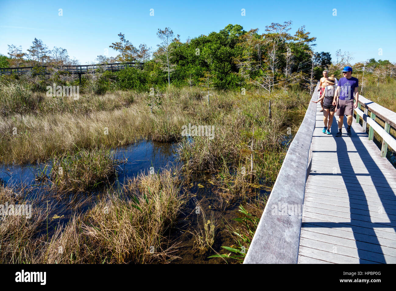 Florida National Park,Shark Slough,Pa-Hay-O-Kee,Pahayokee Overlook ...