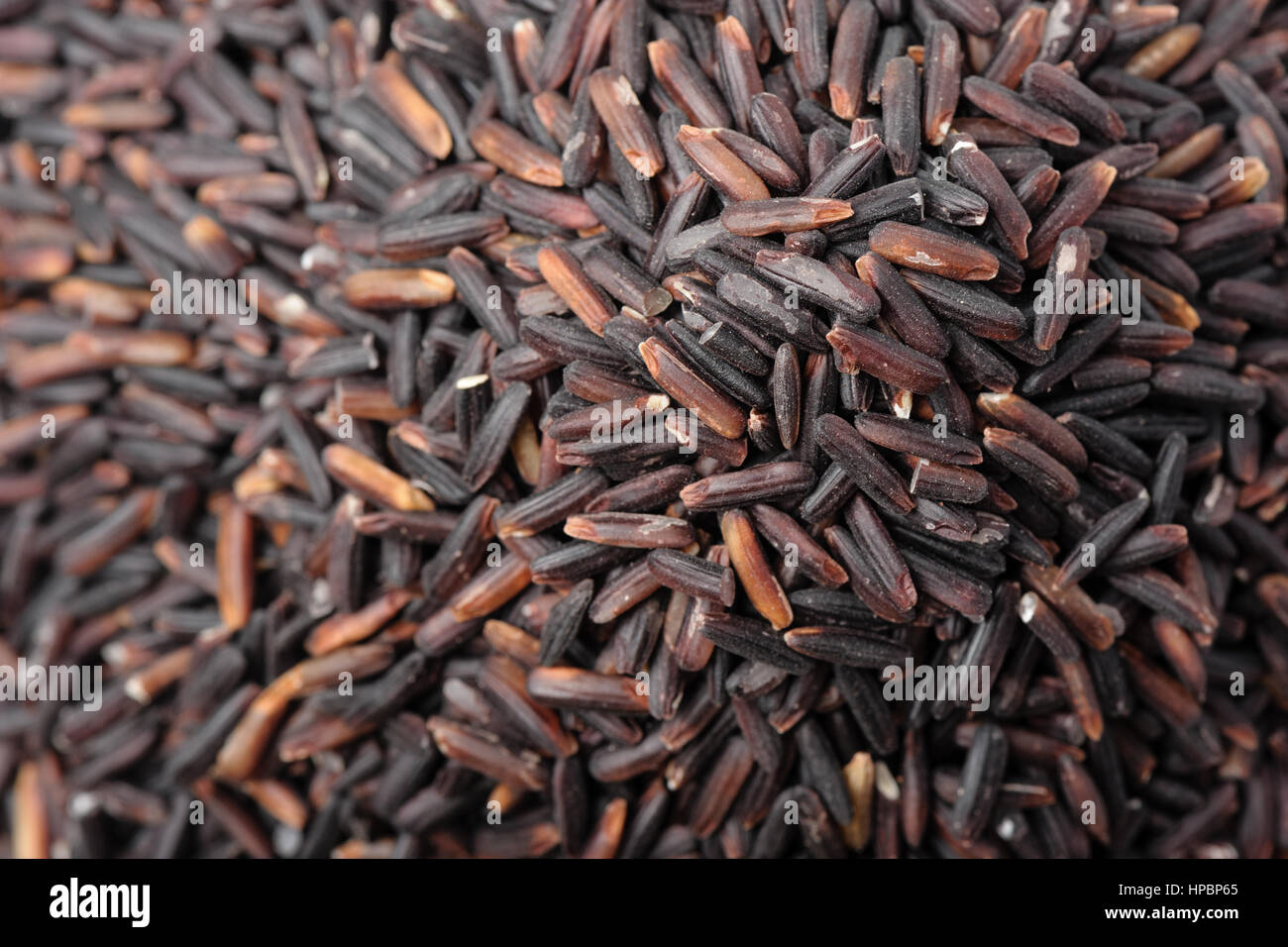 closeup details of Thai rice berry, rice berry is a cross-bred unmilled ...