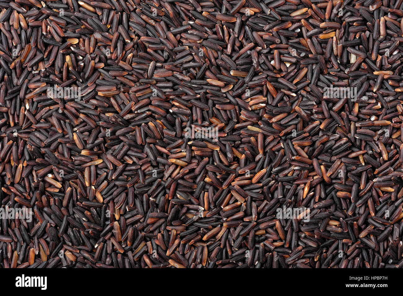 closeup details of Thai rice berry, rice berry is a cross-bred unmilled ...