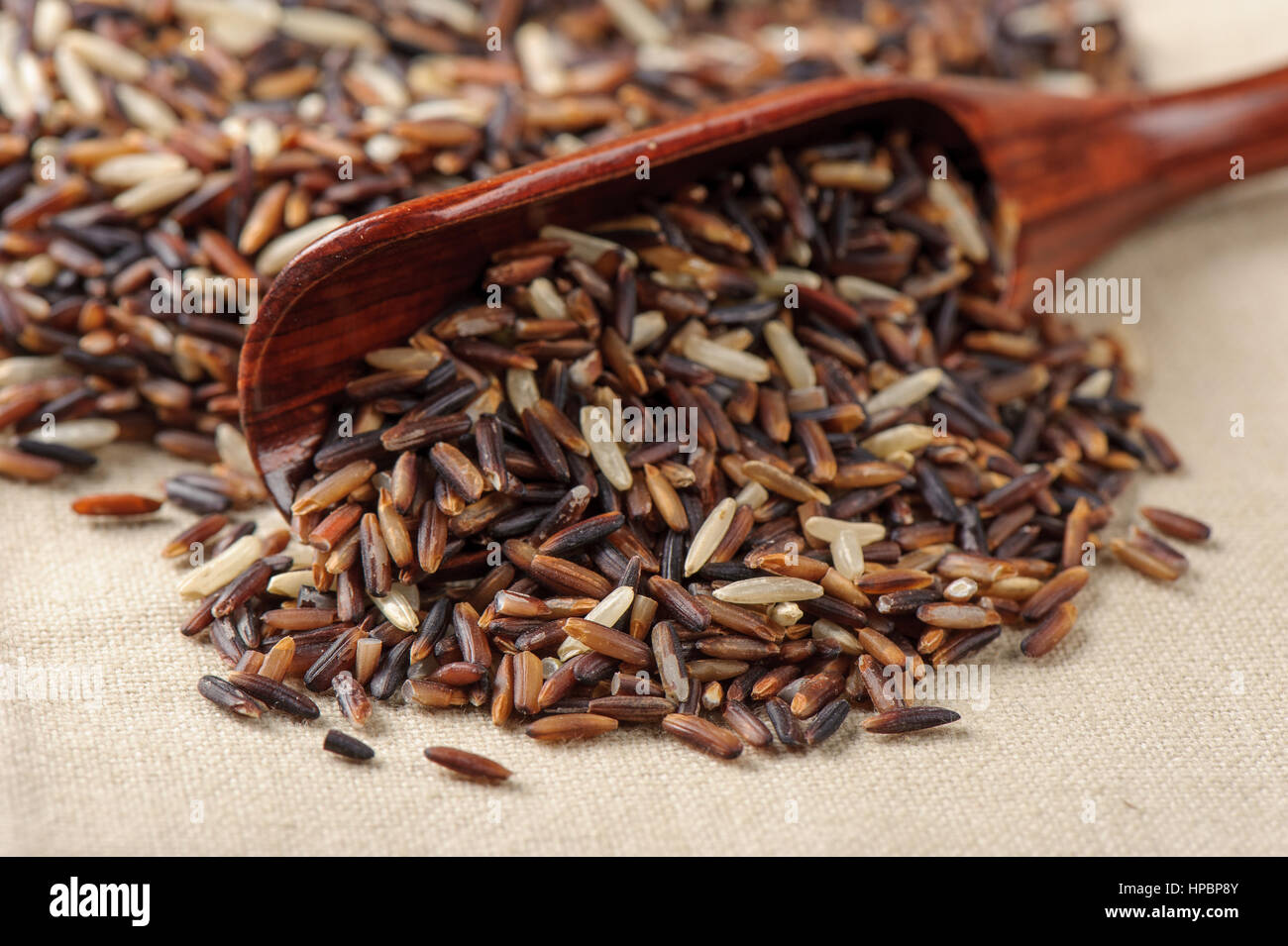 closeup details of Thai rice berry, rice berry is a cross-bred unmilled ...