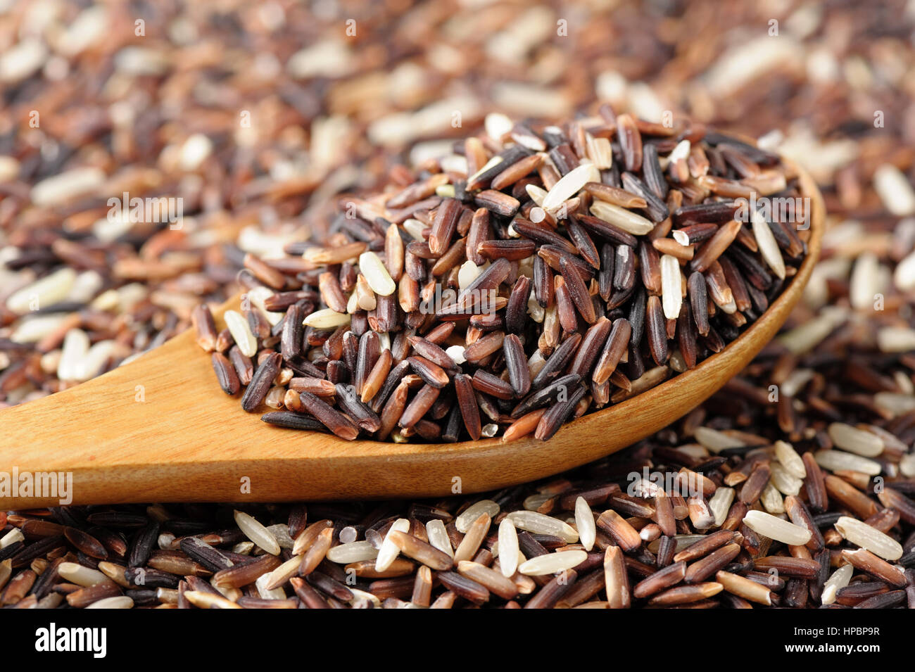 closeup details of Thai rice berry, rice berry is a cross-bred unmilled ...