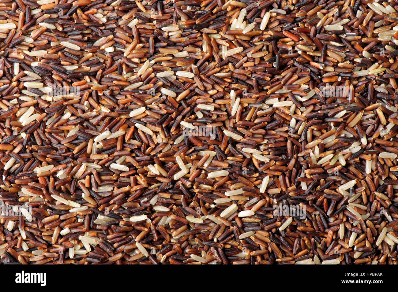 closeup details of Thai rice berry, rice berry is a cross-bred unmilled ...