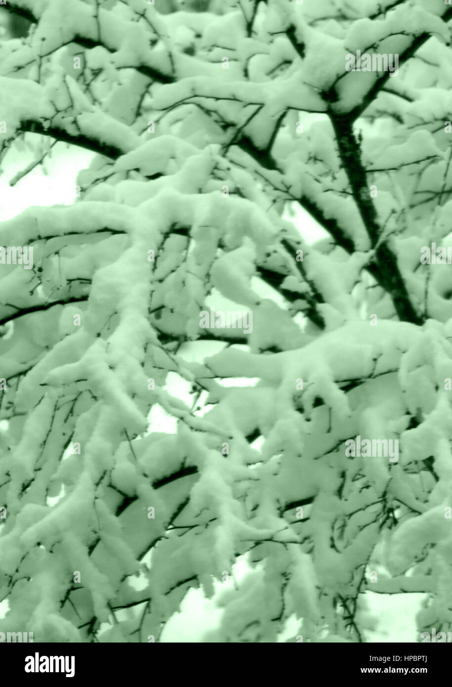 Morning after heavy snowstorm hi-res stock photography and images - Alamy