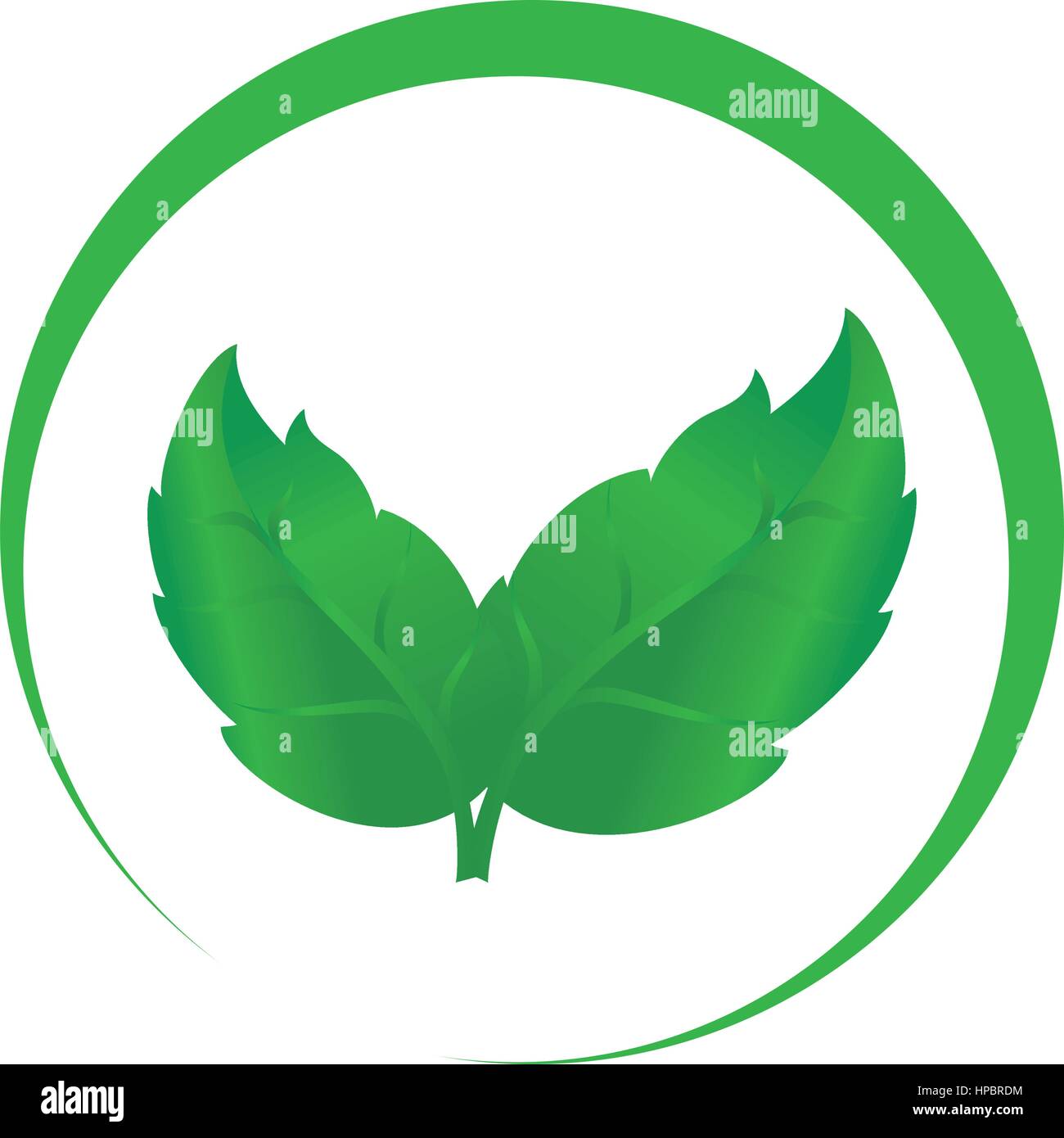 leafs plant ecology symbol vector illustration design Stock Vector ...