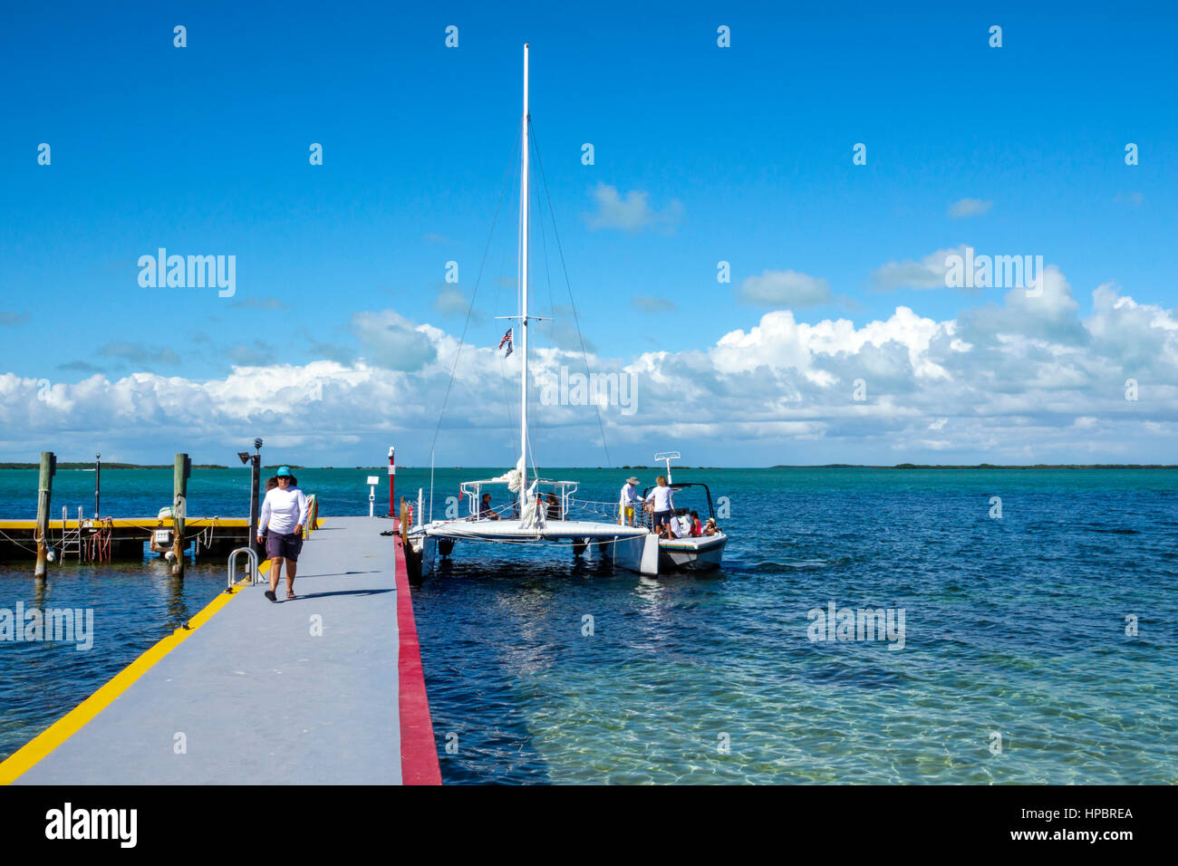 Florida Upper Key Largo Florida Keys,Florida Bay water,Hilton Key Largo ...