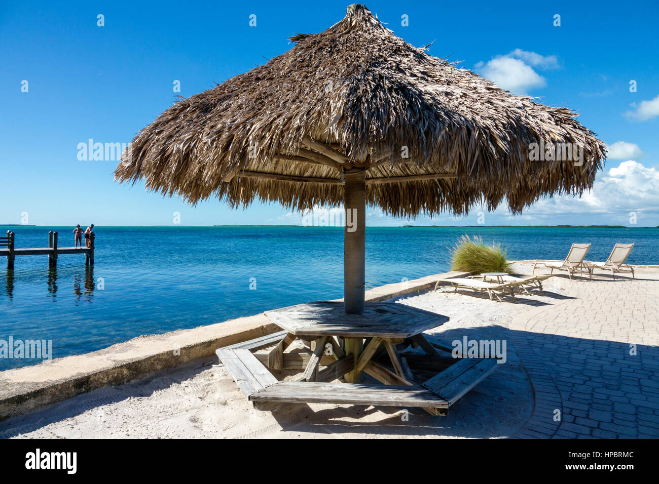 Florida Upper Key Largo Florida Keys,Florida Bay,Kona Kai Resort ...