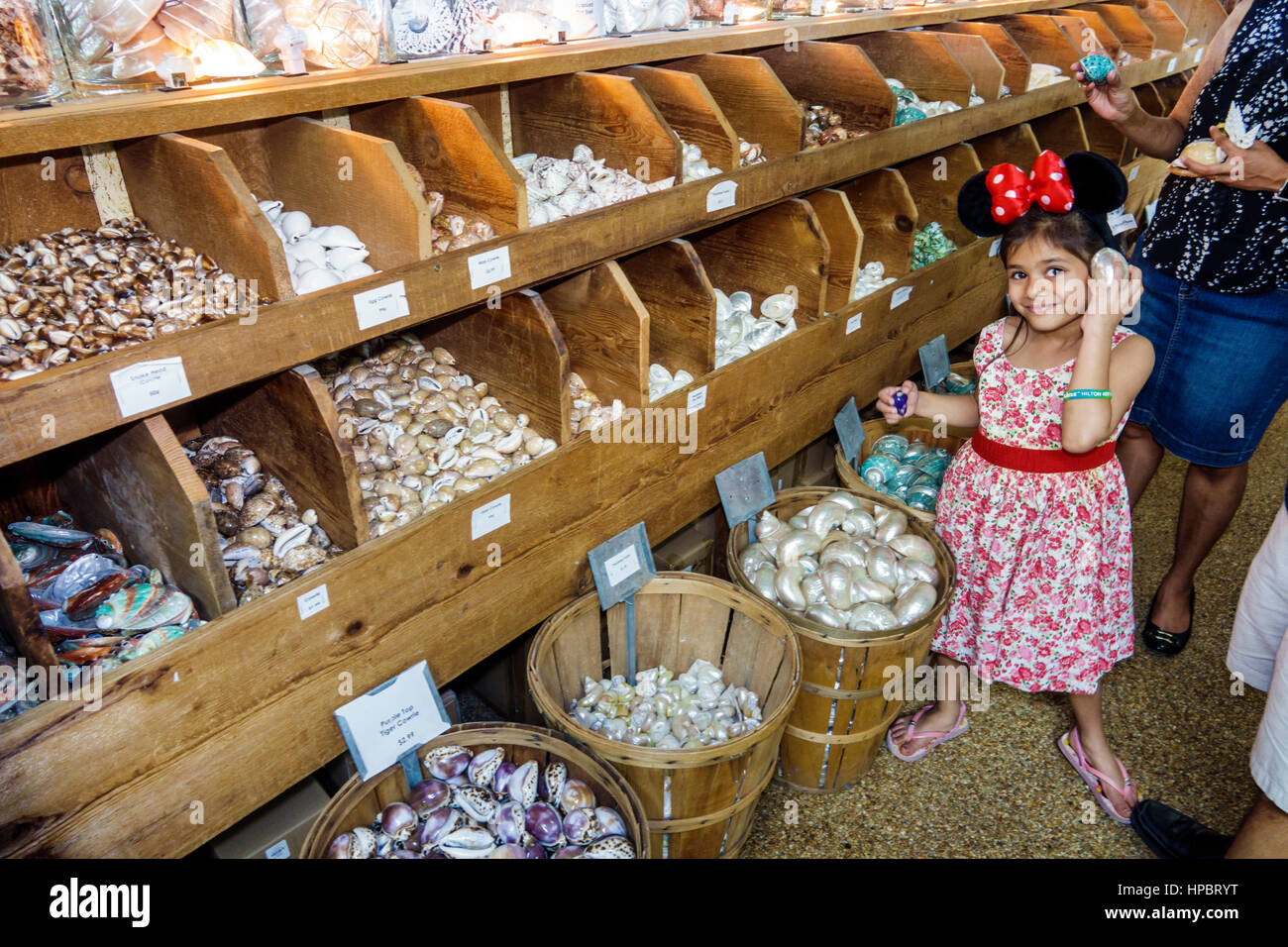 Florida Upper Key Largo Florida Keys,Shell World,store,souvenir ...