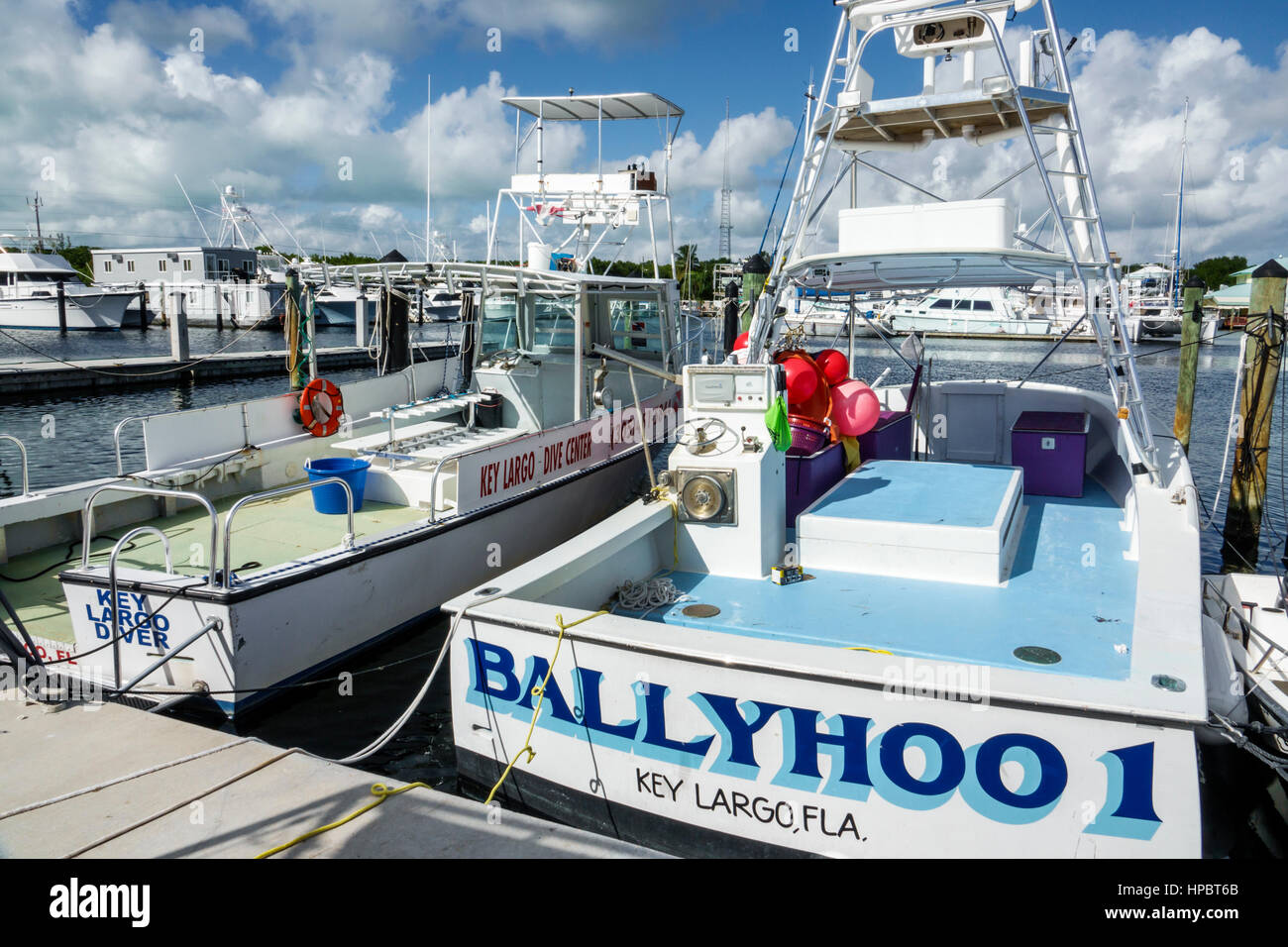 Ballyhoo 1 hi-res stock photography and images - Alamy