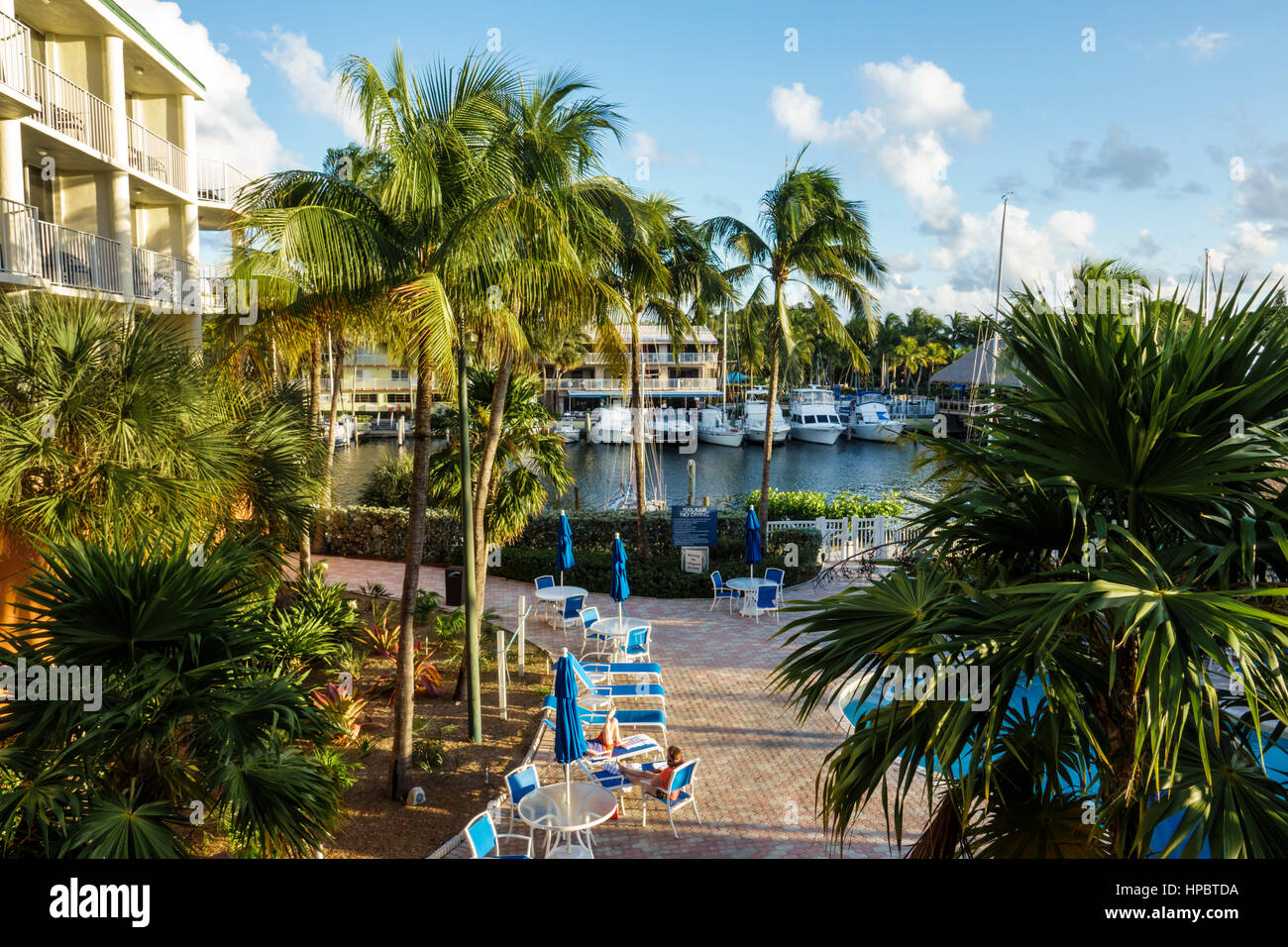 Florida Upper Key Largo Florida Keys,Courtyard Key Largo,hotel hotels ...