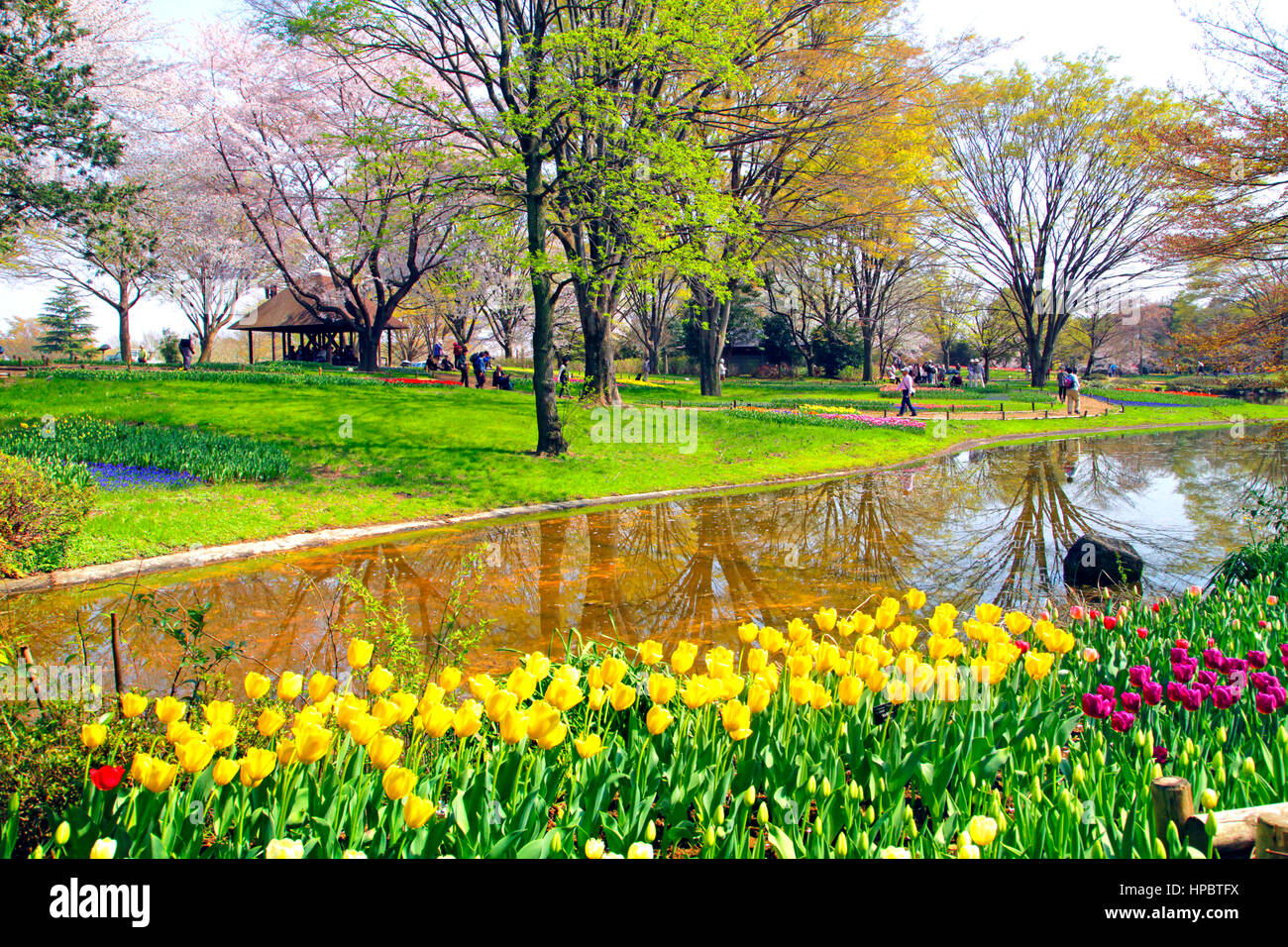 Showa memorial park tachikawa hi-res stock photography and images - Alamy