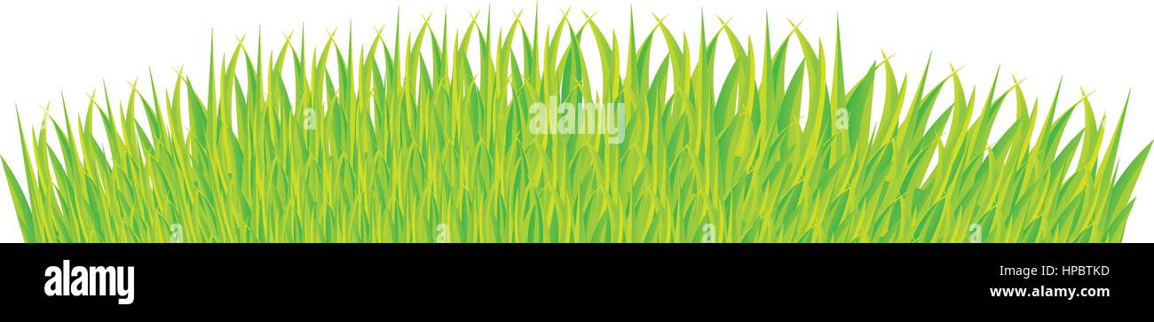 color background with green grass Stock Vector Image & Art - Alamy