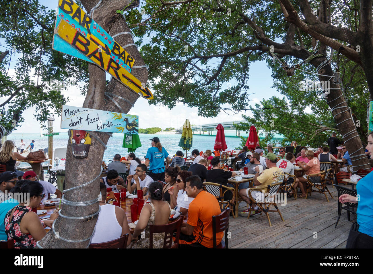 Florida Upper Florida Keys,Islamorada,Lower Matecumbe Key,Robbie’s ...