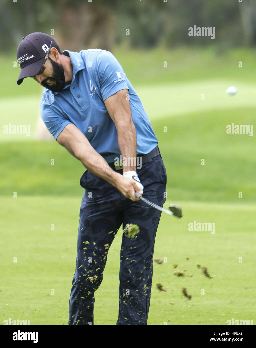 Cameron tringale the open hi-res stock photography and images - Alamy