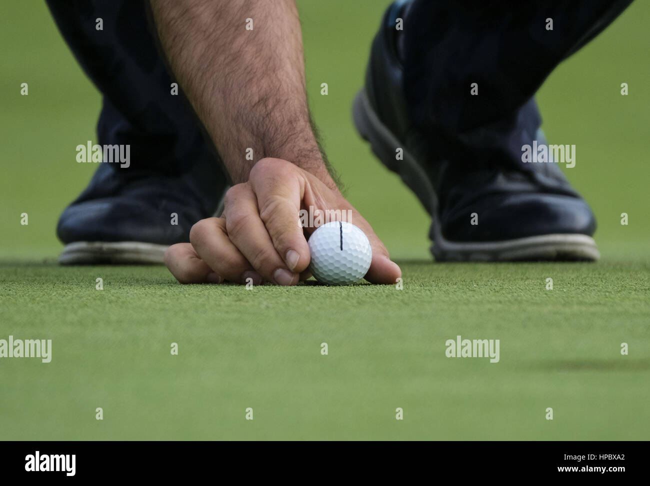 Cameron tringale the open hi-res stock photography and images - Alamy