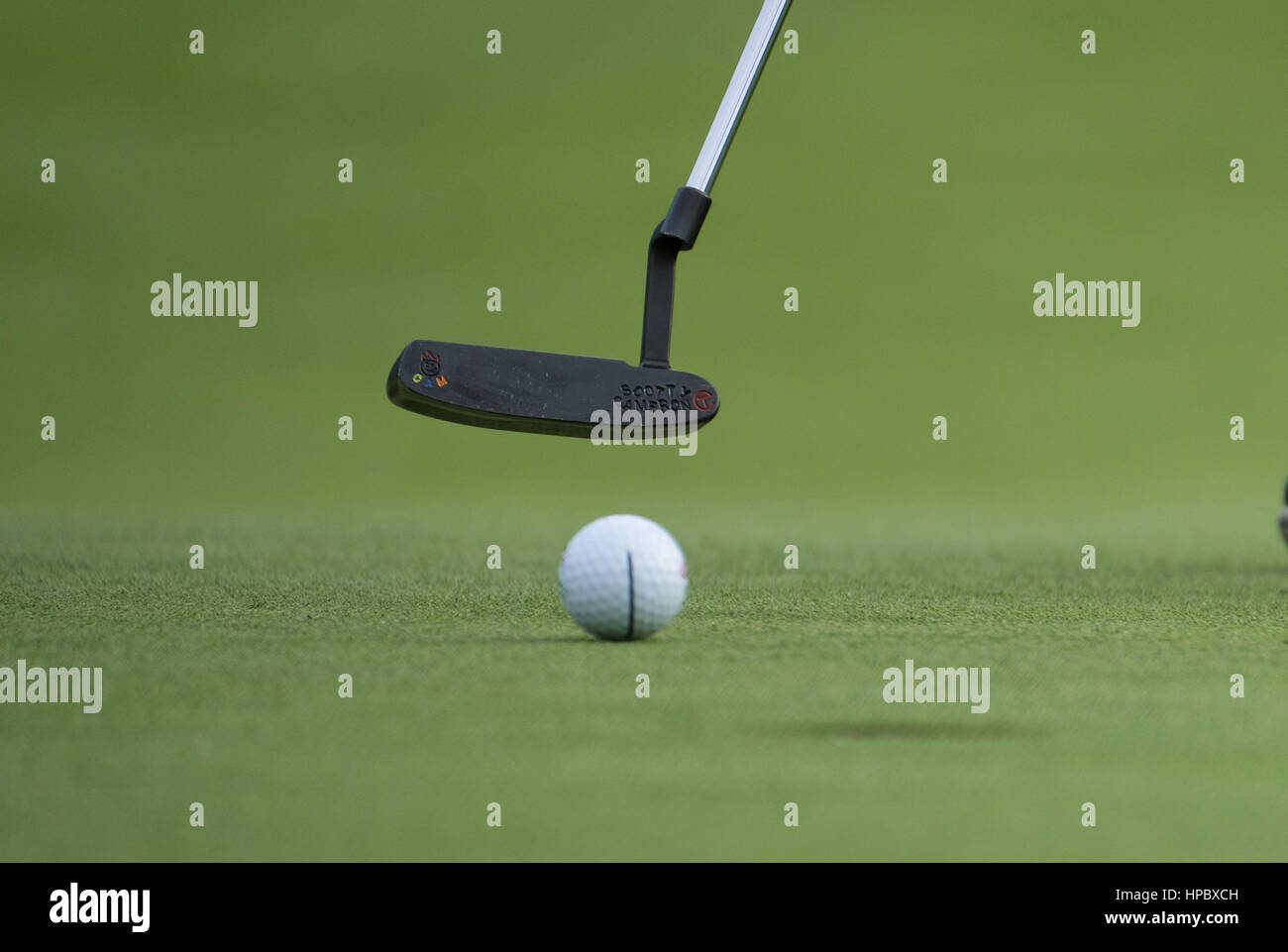 Cameron tringale the open hi-res stock photography and images - Alamy