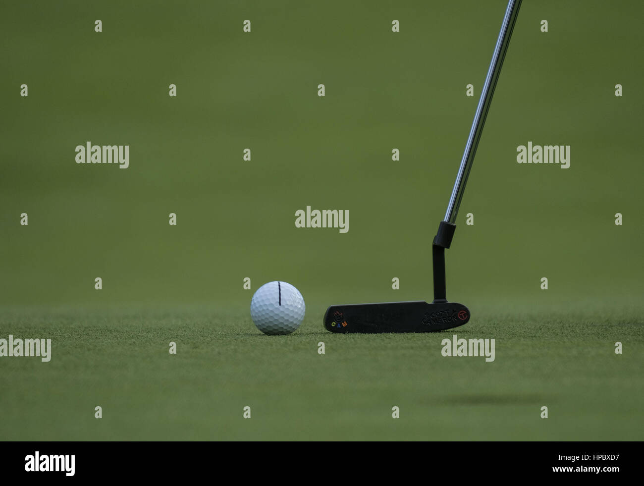 Cameron tringale golf hi-res stock photography and images - Alamy