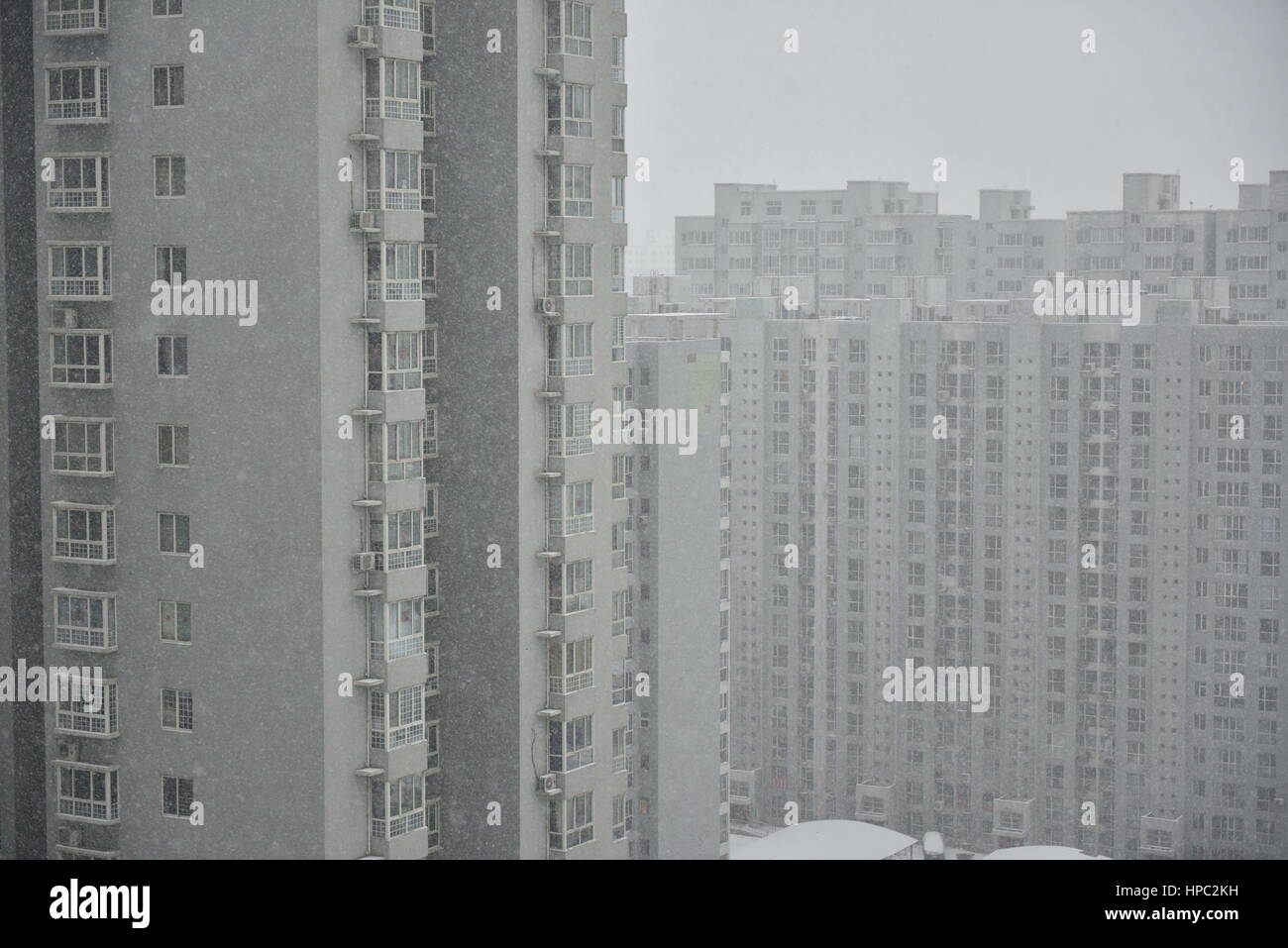 Taiyuan, China. 21st Feb, 2017. The first spring snow blankets Taiyuan ...