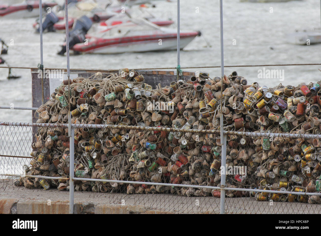 Qingdao, China. 20th Feb, 2017. Piles of conch shells form a 'wall' by ...