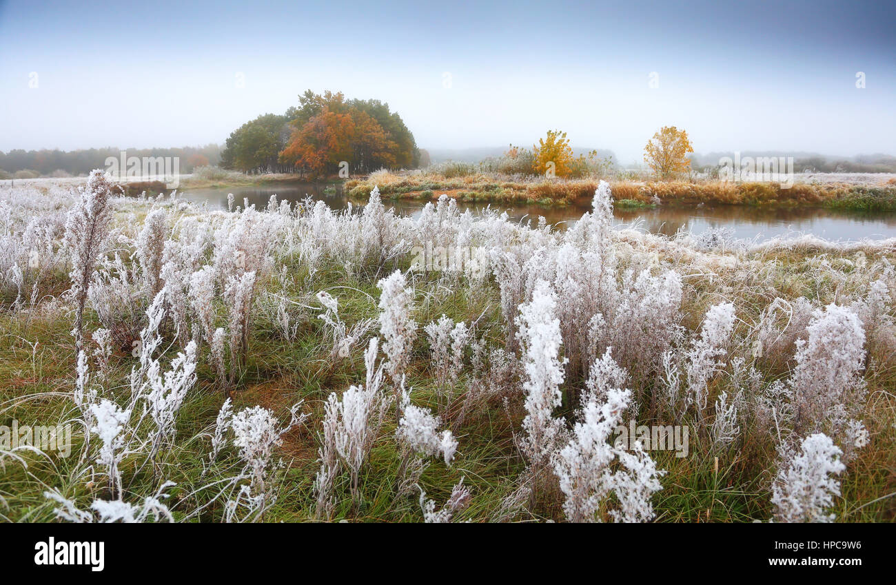 Frost trees grass hi-res stock photography and images - Alamy