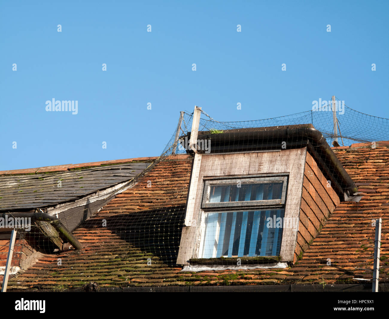 Rooftop dorma window with anti bird netting deterrent above retail ...